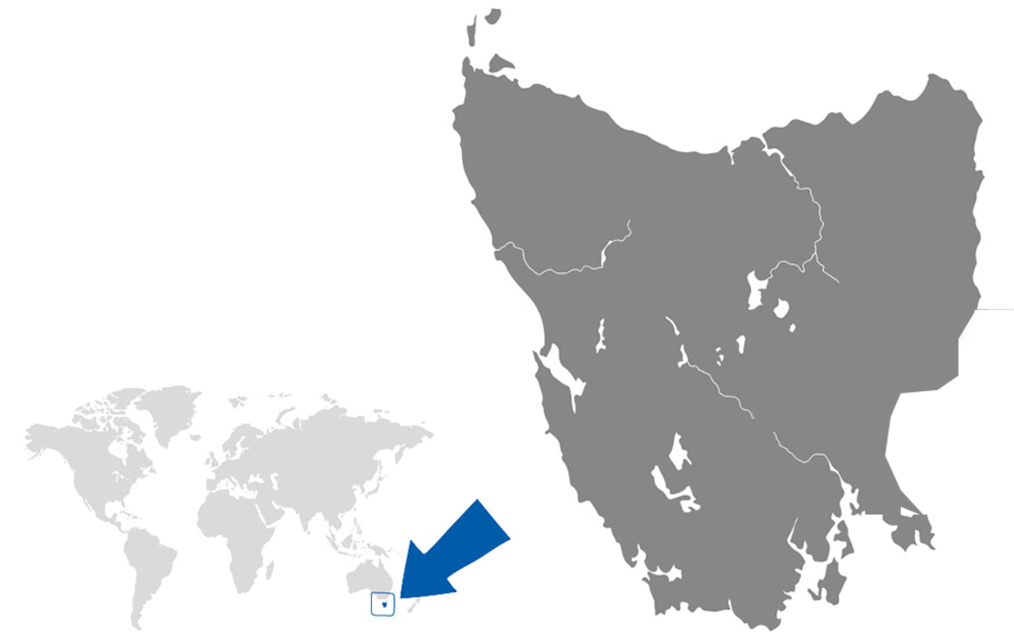 Merino wool: Find out more about the functional fibers from Tasmania ...